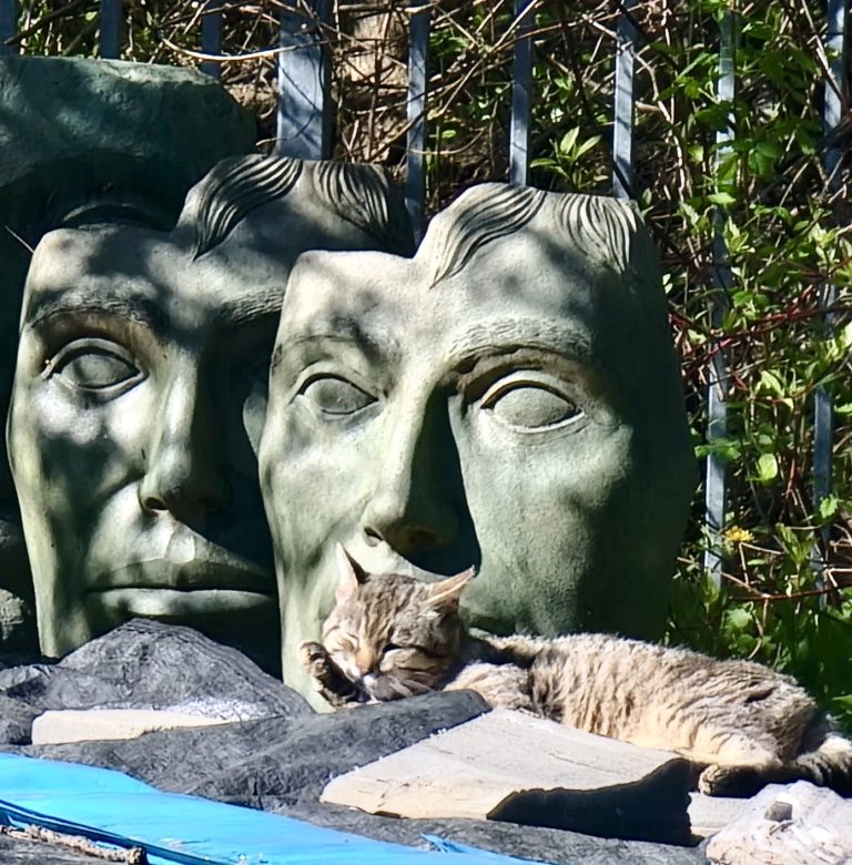 Home - Cats Anonymous