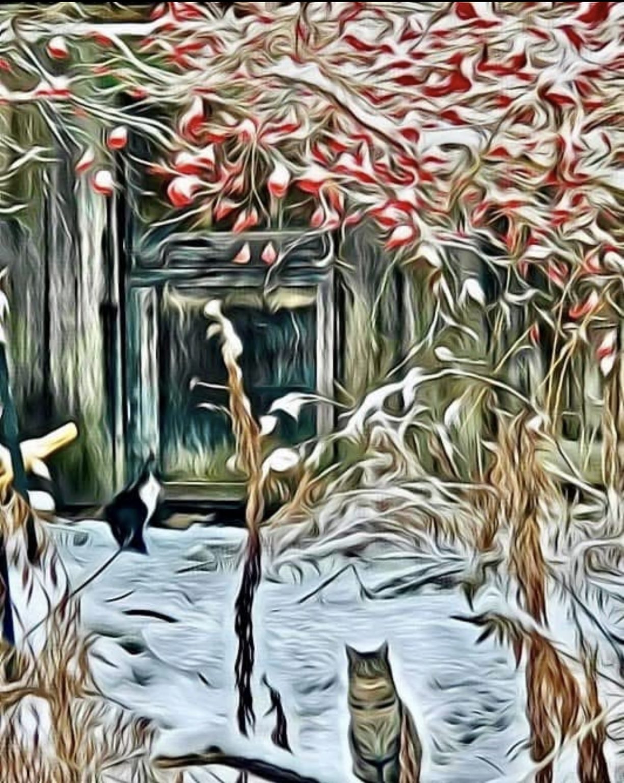 Trap-Neuter-Return Program - Cats Anonymous