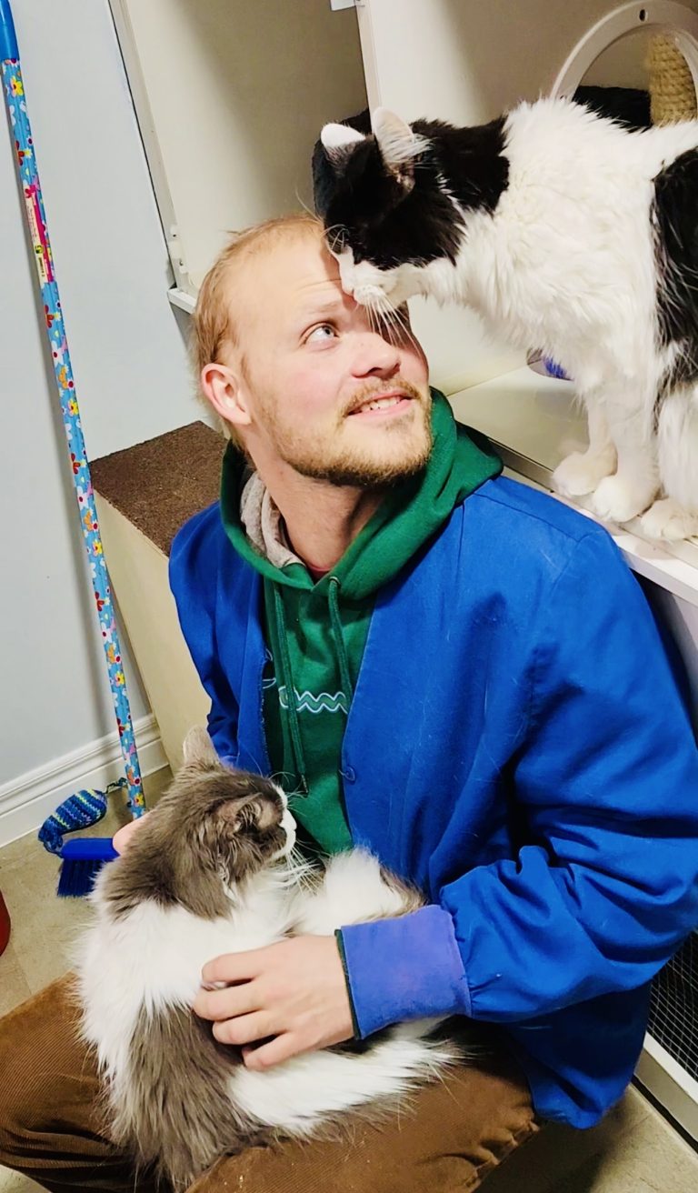 Find Your Best Friend – Cats Anonymous